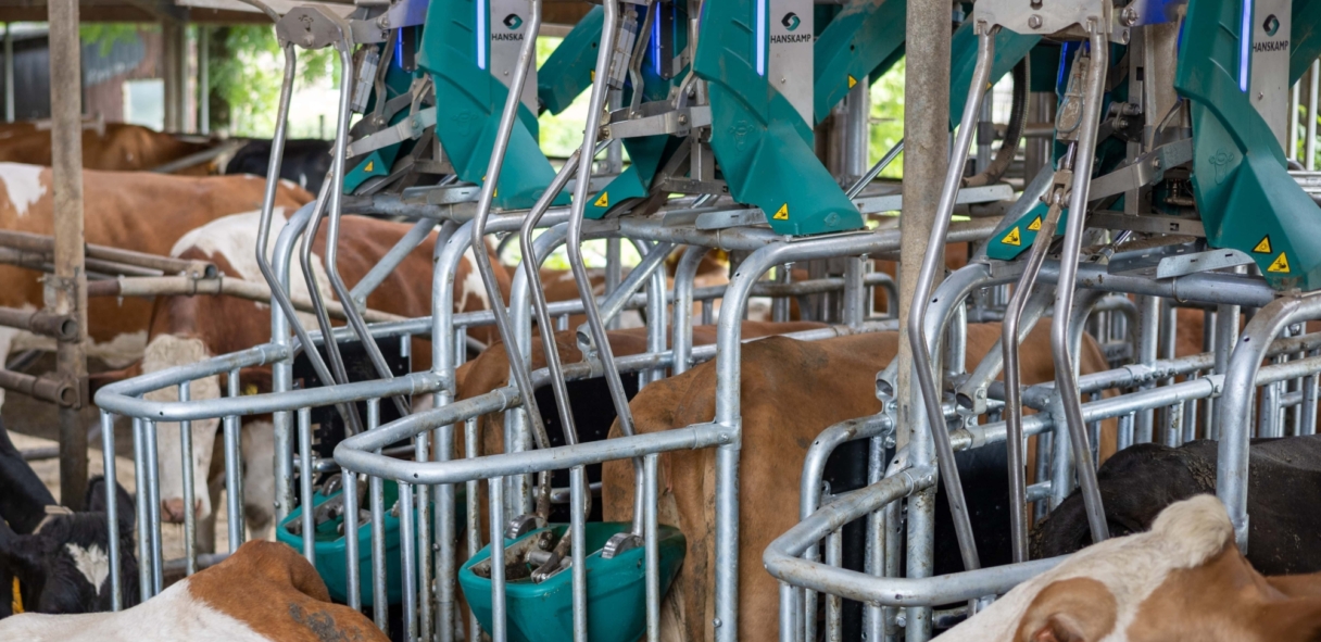 Hanskamp | Video: ‘Koeientoilet prachtkans om eenvoudig emissie te…