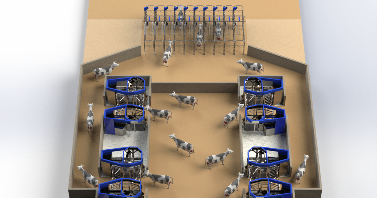 Batch milking | Hanskamp