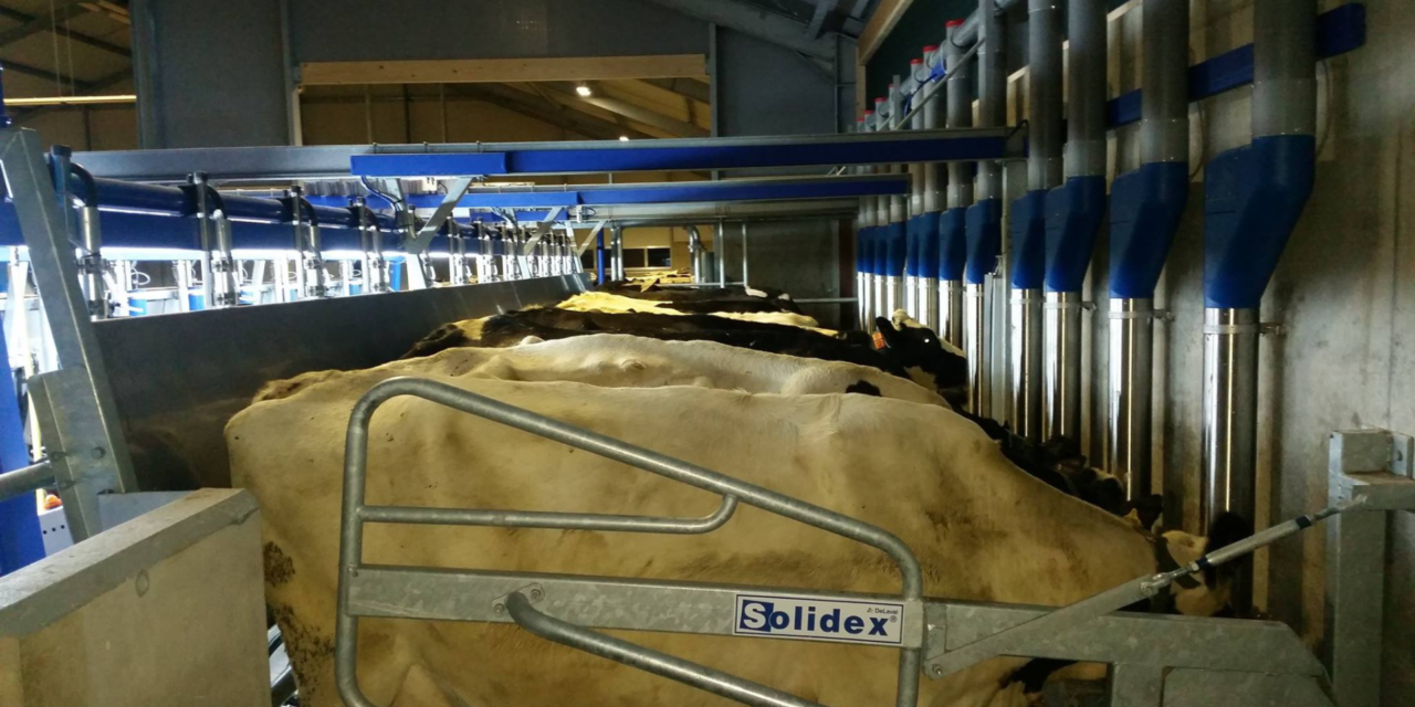 Hanskamp | PipeFeeder for precise feed dosing